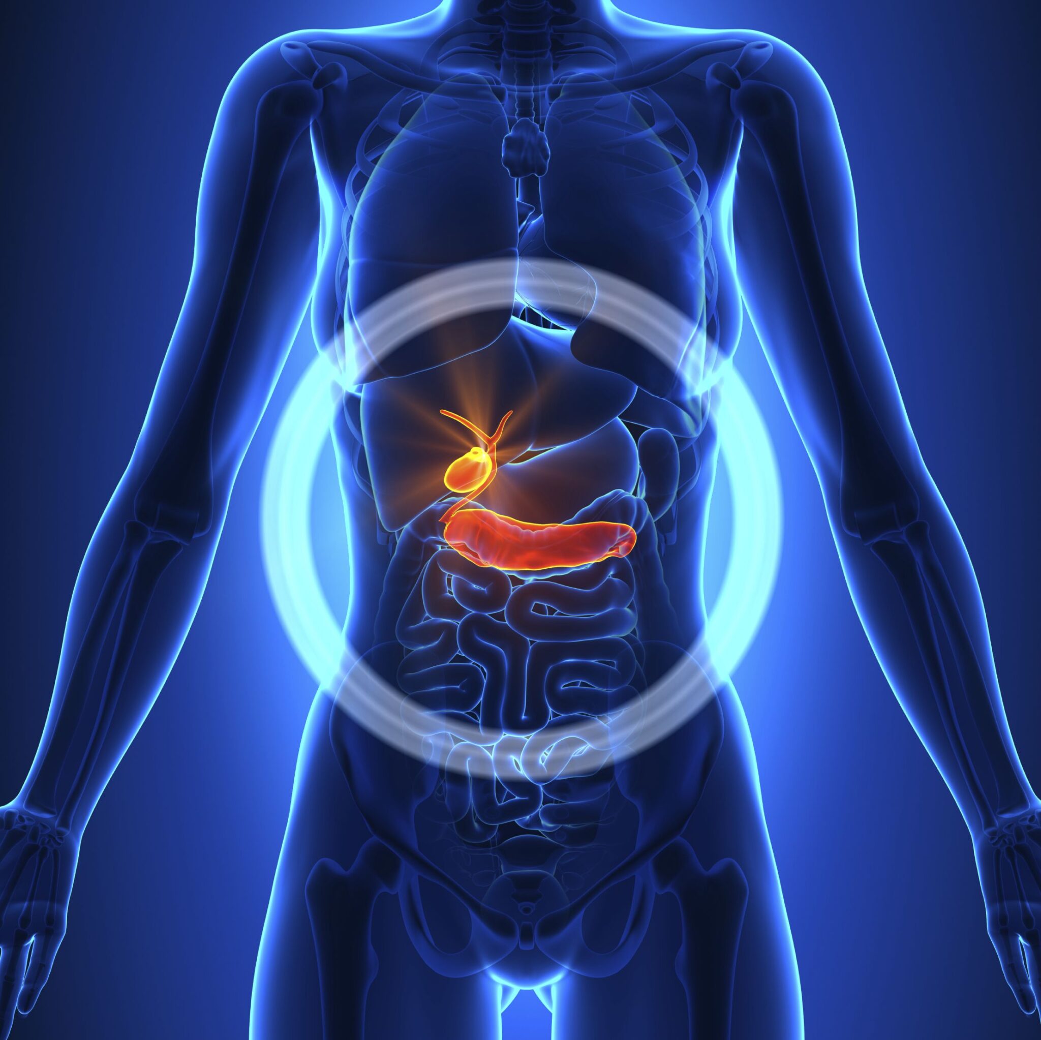 Understanding a Bad Gallbladder Ultrasound: What It Means and What ...